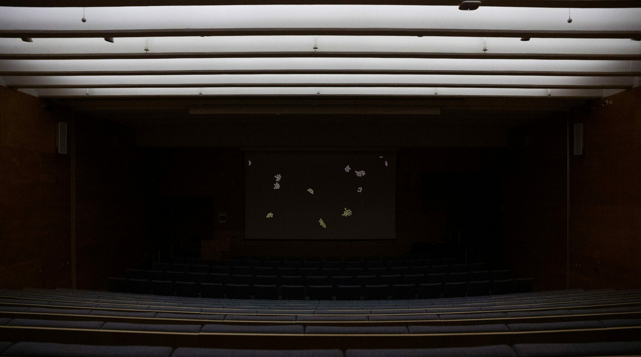 Communication Design – GSA Showcase 2022